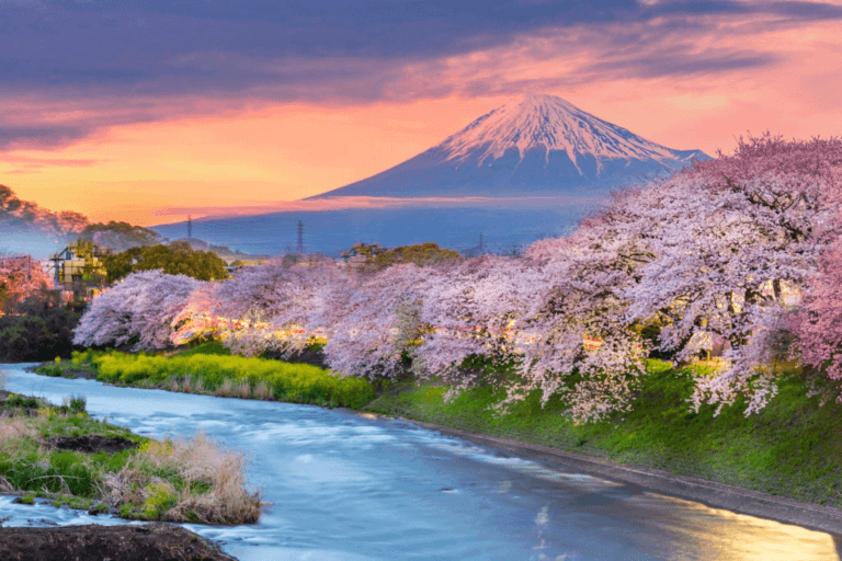 Top 15 Tourist Attractions in Japan - Tour To Planet